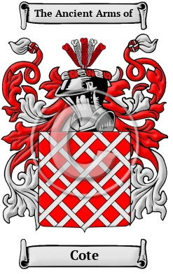 Category:Games | Cote Wiki | Fandom