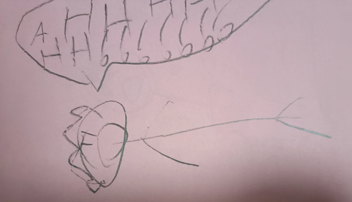 Drez | Cote Wiki | Fandom