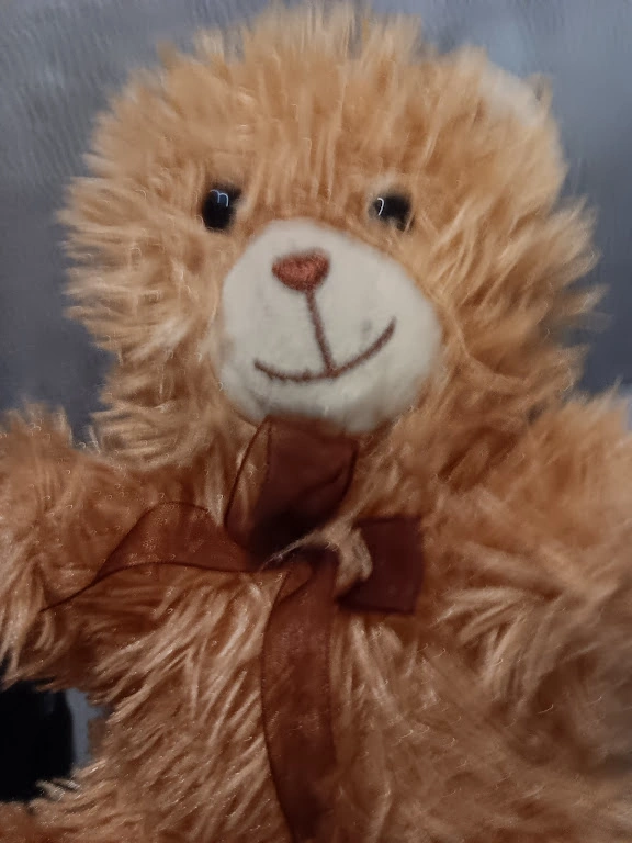 Beary | Cote Wiki | Fandom