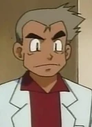 Pokémon (Universe) | Sonic and Pokémon: Twin-Verse Wiki | Fandom