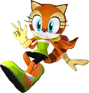 Artwork of Marine the Raccoon | Sonic Art Assets DVD Wiki | Fandom