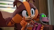 Sticks the Badger | The Sonic Boom Wiki | Fandom