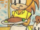 Category:Female | Sonic Characters Wiki | Fandom