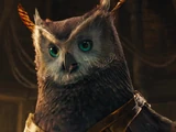 Category:Owls | Sonic the Hedgehog Cinematic Universe Wiki | Fandom