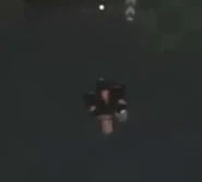 Gallery:Shadow | The Disasterpedia | Fandom