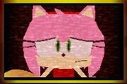 Amy | Sonic EXE: The Disaster Wiki | Fandom