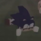 Sonic | The Disasterpedia | Fandom