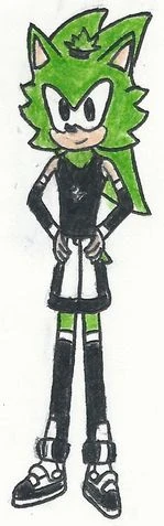 Hectic The Hedgehog | Sonic Fan Character Wiki | Fandom