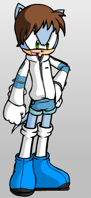 WinterWind the Hedgehog | Sonic Fan Character Wiki | Fandom