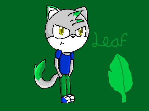 Leaf the Fox | Sonic Fan Character Wiki | Fandom
