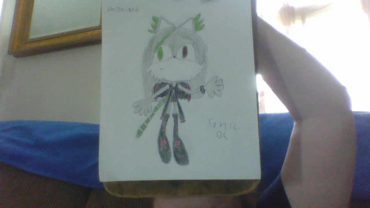 Midnight the tiger | Sonic Fan Character Wiki | Fandom