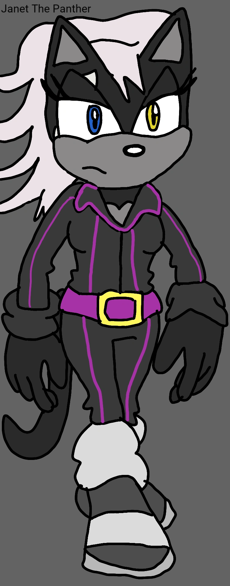 Janet the Panther | Sonic Fan Character Wiki | Fandom