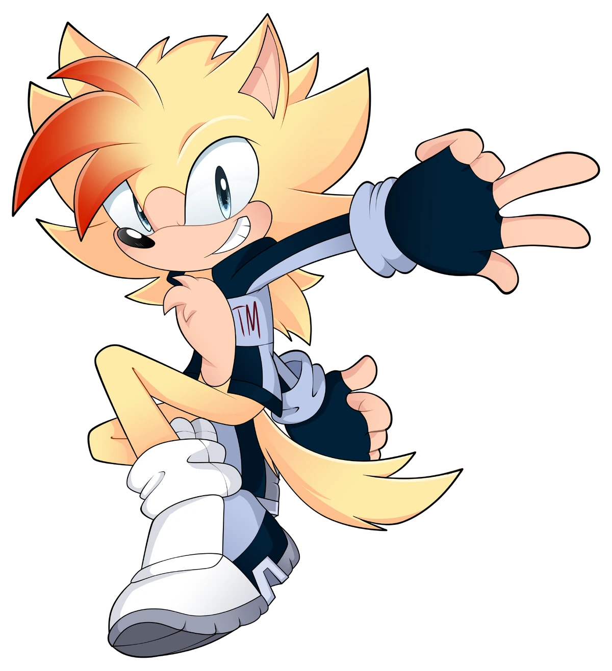 Тёмик Мания | Sonic Fan | Fandom