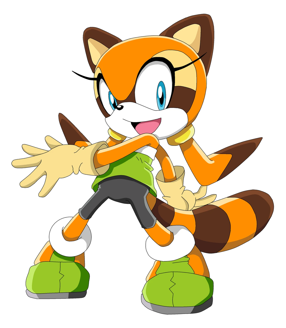 Marine the Raccoon | Sonic in series Wiki | Fandom