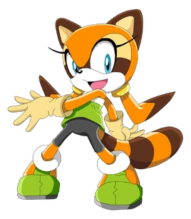 Marine the Raccoon | Sonic in series Wiki | Fandom