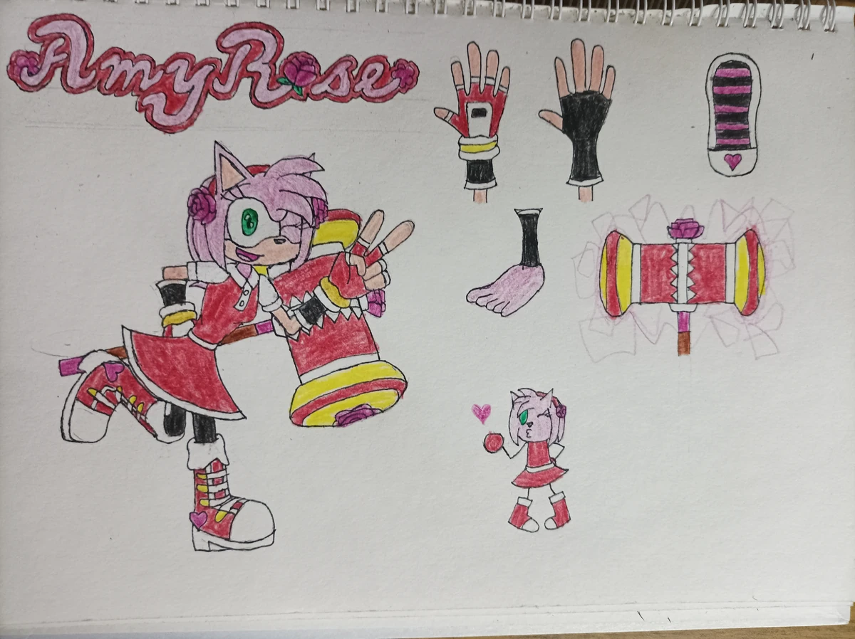 Amy Rose the Hedgehog | The Fastest Hedgehog From Mobius Wiki | Fandom