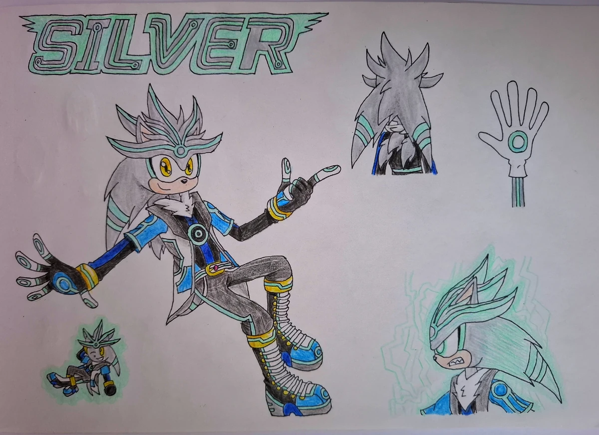 Silver Venice the Hedgehog | The Fastest Hedgehog From Mobius Wiki | Fandom