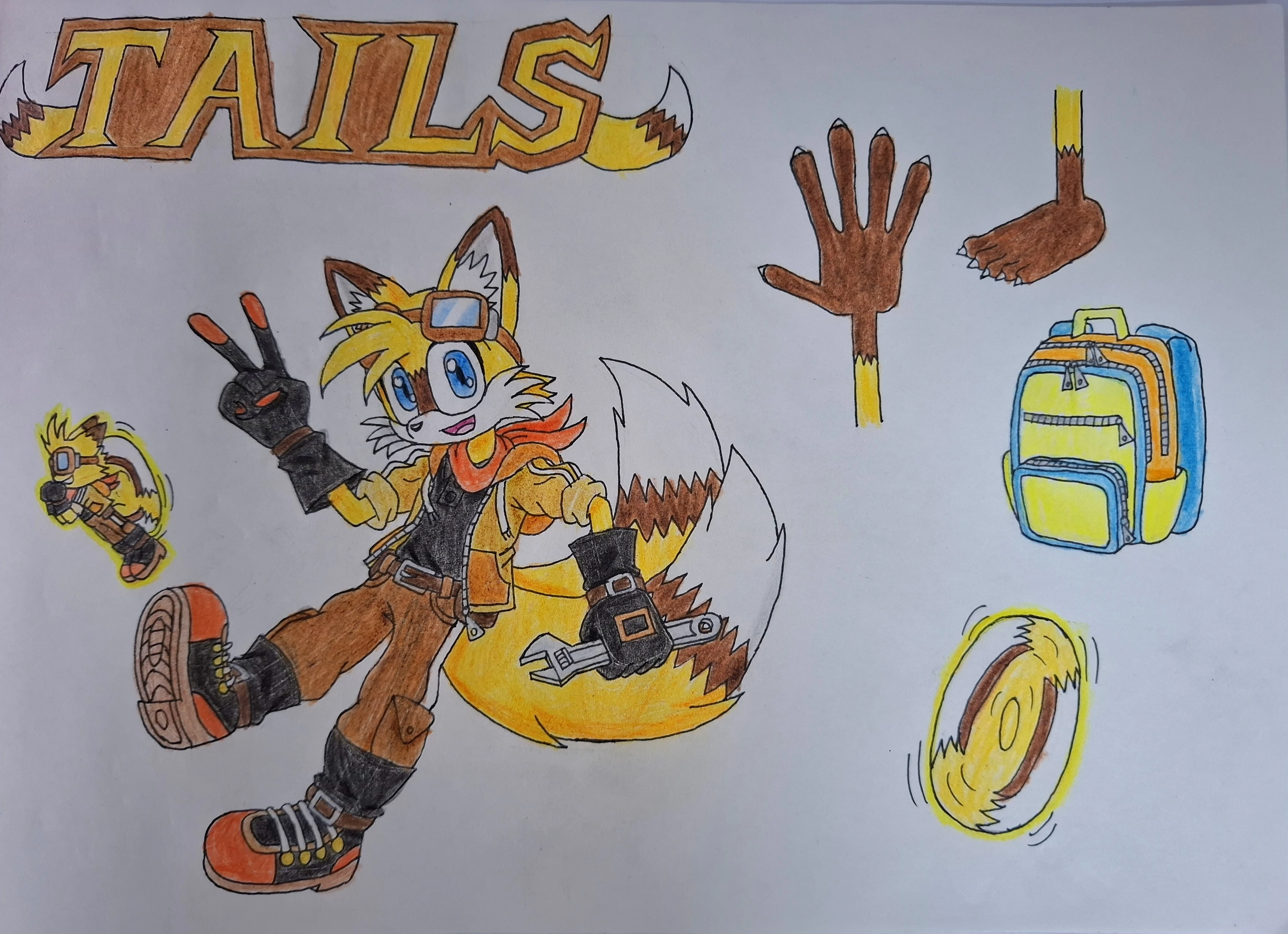 Discuss Everything About The Fastest Hedgehog From Mobius Wiki | Fandom