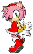 Amy Rose | Sonic Needlemouse's Sonic Wiki Club Wikia | Fandom