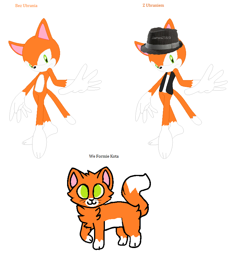 Micz The Cat | Sonic Oc Wiki | Fandom