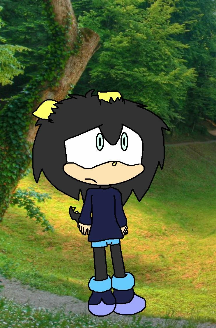 Category:Robots | Sonic OC/FC Wiki | Fandom