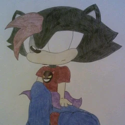 andy the hedgehog oc