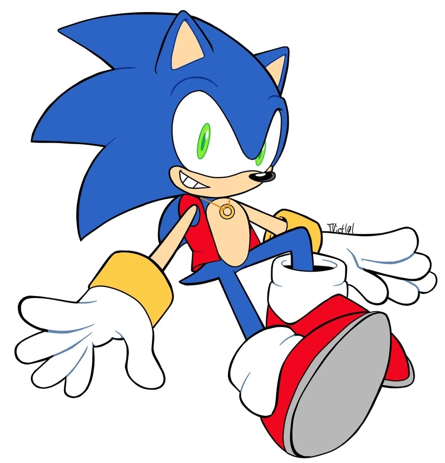 Sonic D. Hedgehog | Sonic Piece Wiki | Fandom