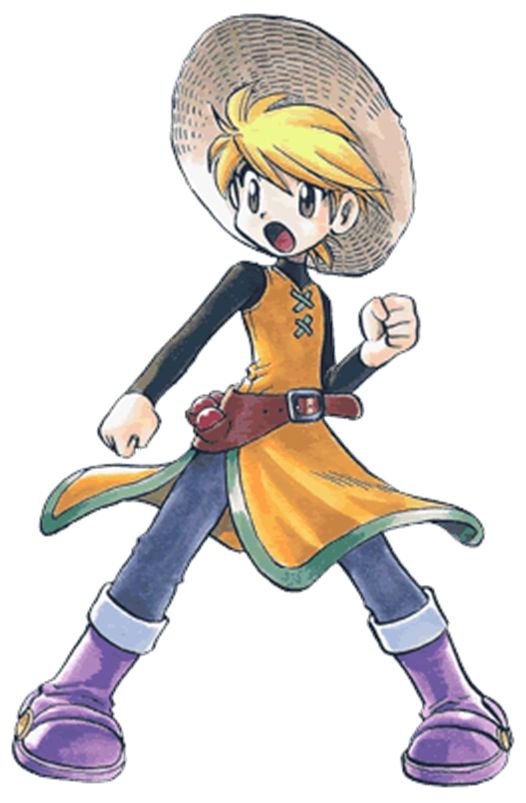 Yellow Caballero | Sonic Pokémon: Canon Encyclopedia Wiki | Fandom