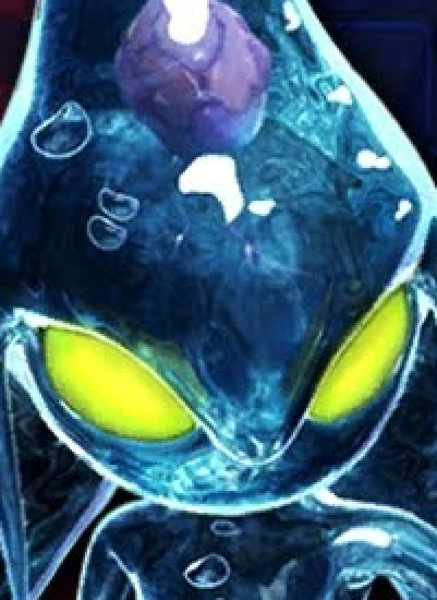 Characters | Sonic Pokémon: Canon Encyclopedia Wiki | Fandom