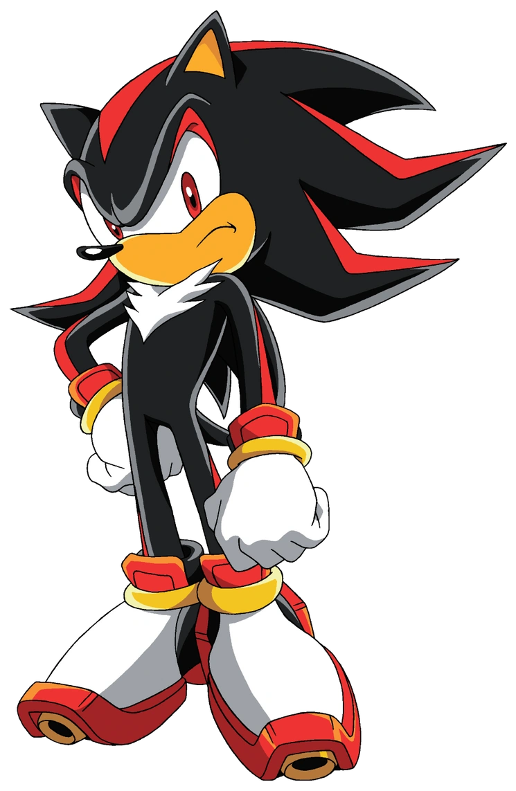 Shadow the Hedgehog | Sonic Pokémon: Data-In-Verse X Wiki | Fandom