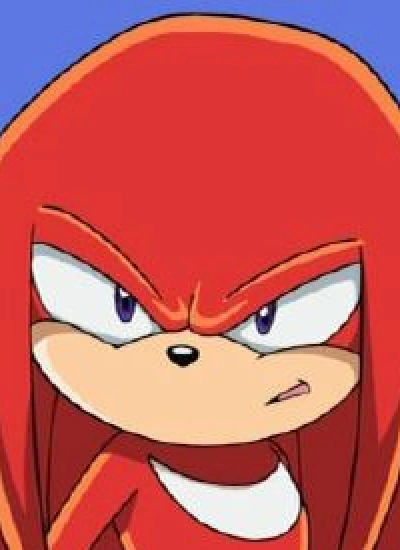 Sonic Pokémon (TV Series) | Sonic Pokémon Universe Wiki | Fandom