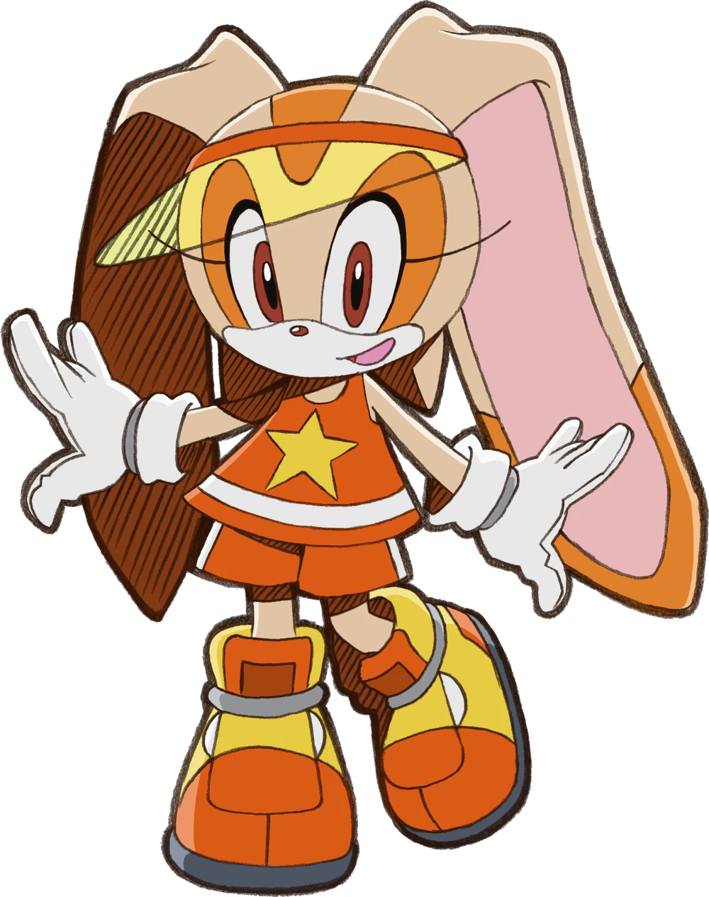 Cream the Rabbit | Sonic Riders Games Wiki | Fandom