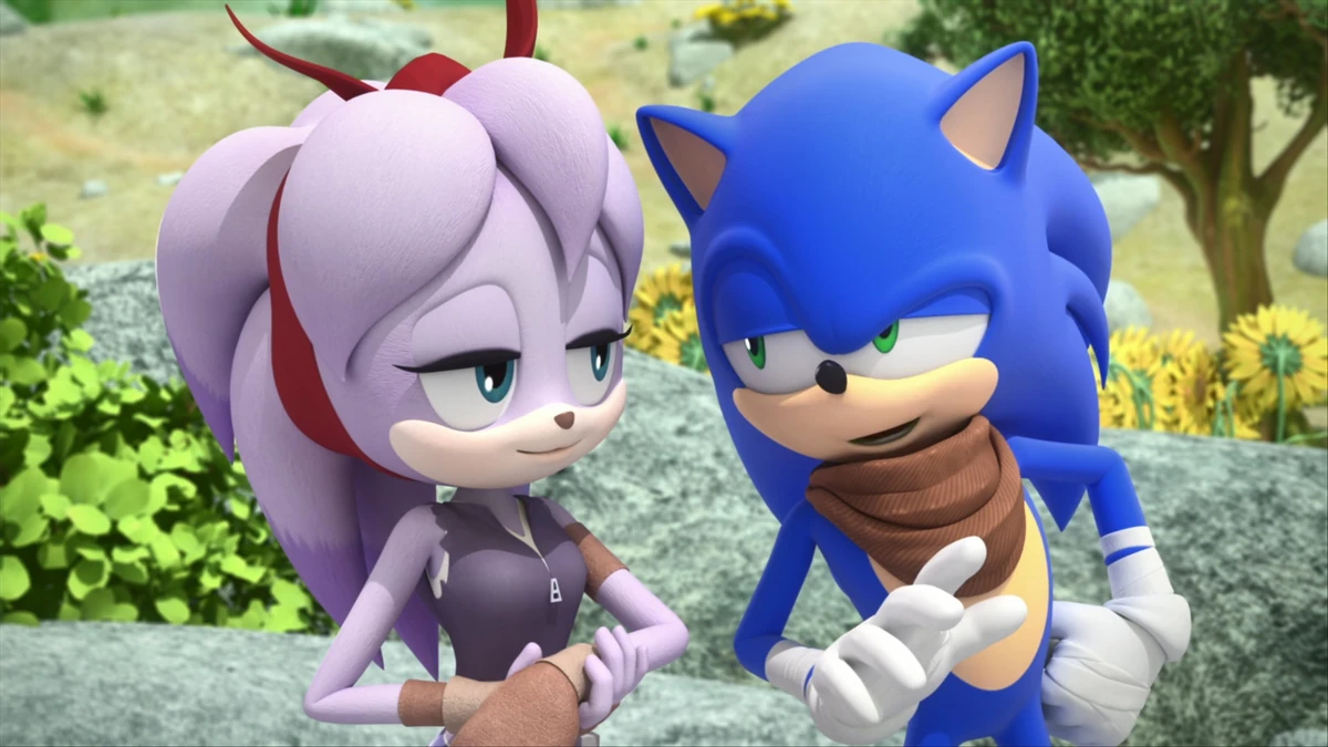 Sonerci | Sonic Shipping Wiki | Fandom