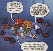 Knuxikal | Sonic Shipping Wiki | Fandom