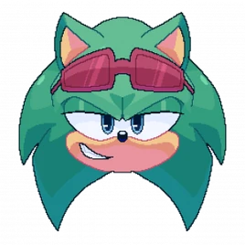 Skins | Sonic showdonw Wiki | Fandom