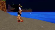 Cheetah Shadow | Sonic Speed Simulator Wiki | Fandom