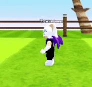 LEGO Rouge | Sonic Speed Simulator Wiki | Fandom