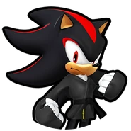 Karate Showdown | Sonic Speed Simulator Wiki | Fandom
