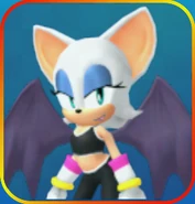 Riders Rouge | Sonic Speed Simulator Wiki | Fandom