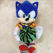 Summer Sonic | Sonic Speed Simulator Wiki | Fandom