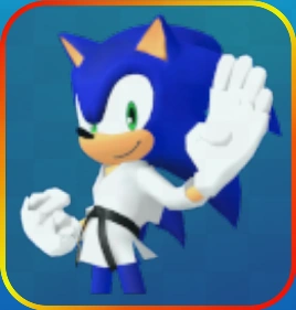 Karate Sonic | Sonic Speed Simulator Wiki | Fandom