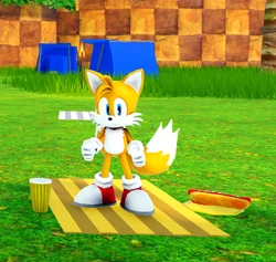 Tails The Fox As A Dog