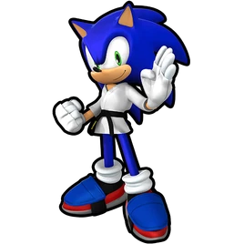 Karate Sonic | Sonic Speed Simulator Wiki | Fandom
