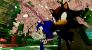 Karate Sonic | Sonic Speed Simulator Wiki | Fandom
