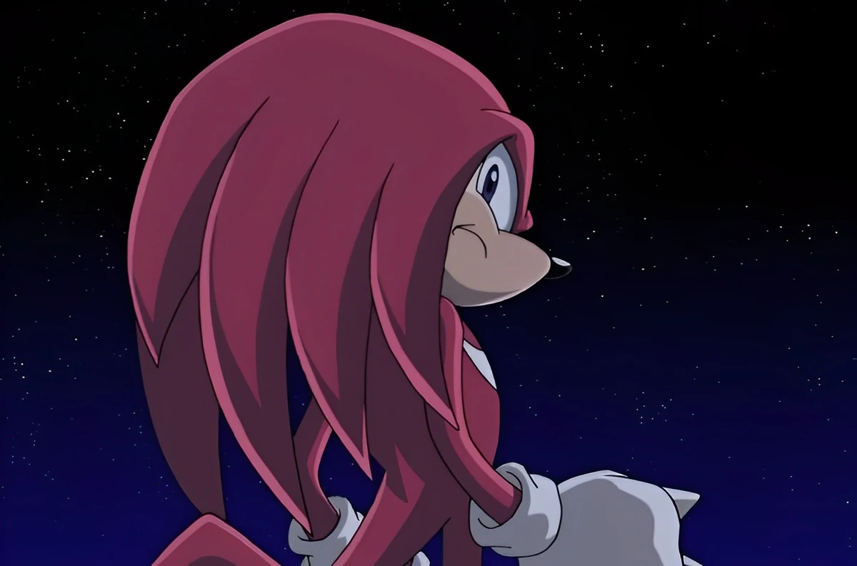 Knuckles the Echidna | Sonic the Hedgehog: Fangs and Speed Wiki | Fandom