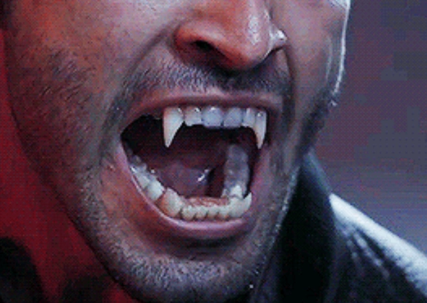 Fangs | Sonic the Hedgehog: Fangs and Speed Wiki | Fandom