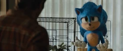 Sonic the Hedgehog | Sonic the Hedgehog (Film Series) Wiki | Fandom