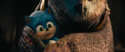 Sonic the Hedgehog | Sonic the Hedgehog(Movie) Wiki | Fandom