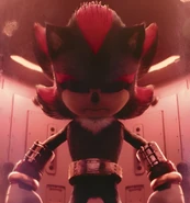 Hedgehogs | Sonic the Hedgehog(Movie) Wiki | Fandom