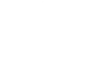 Guardian Units of Nations | Sonic the Hedgehog(Movie) Wiki | Fandom